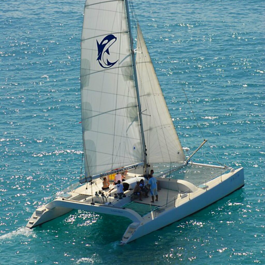 ¡Catamarán eléctrico! Caso de éxito para la observación de ballenas y delfines - NautaSystems